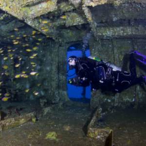 Dive HMAS Brisbane | Australia's #1 Artificial Wreck