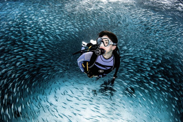 Sunshine Coast Dive Sites | Scuba World Mooloolaba