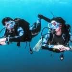 HMAS Brisbane Dive Tours | Scuba Diving Sunshine Coast